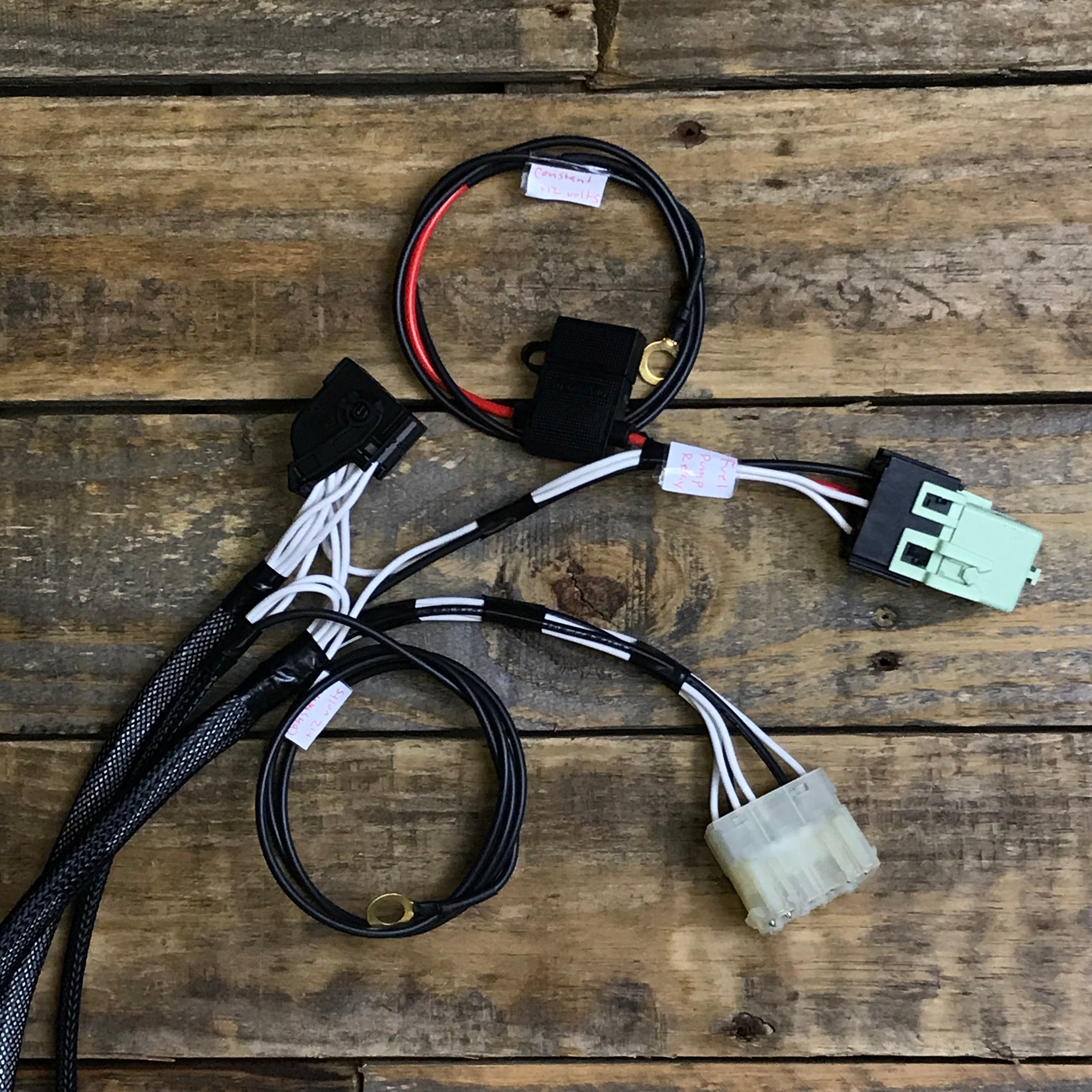 Swap Wiring Harness Adapter | BMW E36 Engine Swap — Condor Speed Shop